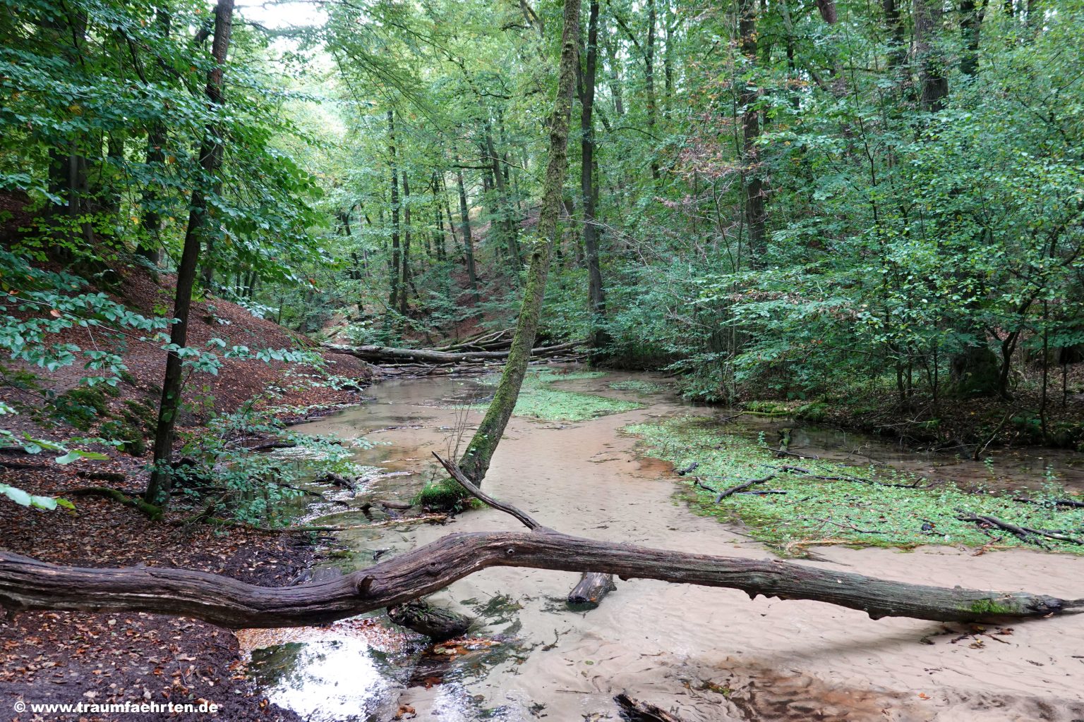 Wohnmobilstellplatz Augustdorf - Wild-malerische Sennelandschaft