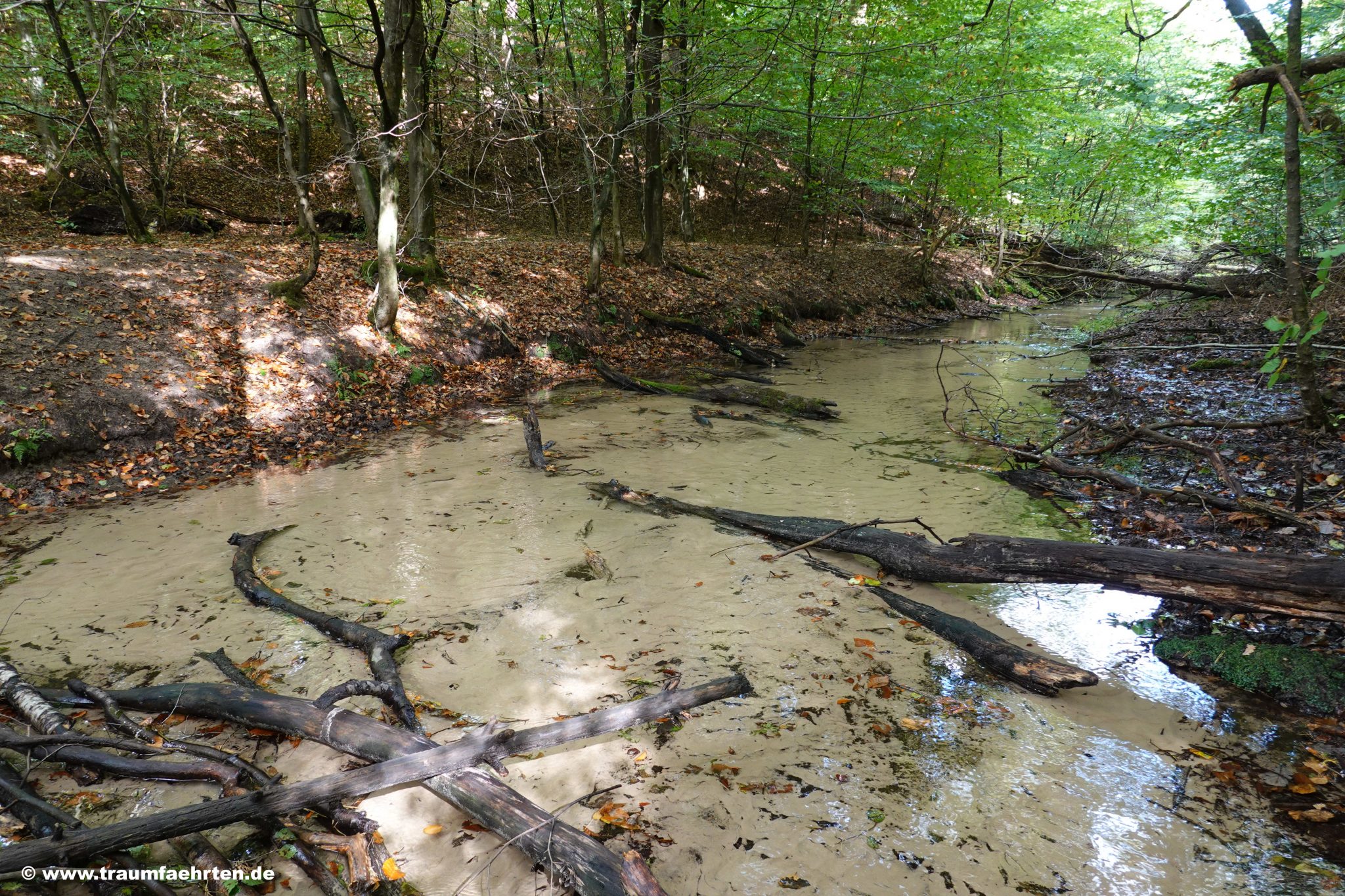 Wohnmobilstellplatz Augustdorf - Wild-malerische Sennelandschaft