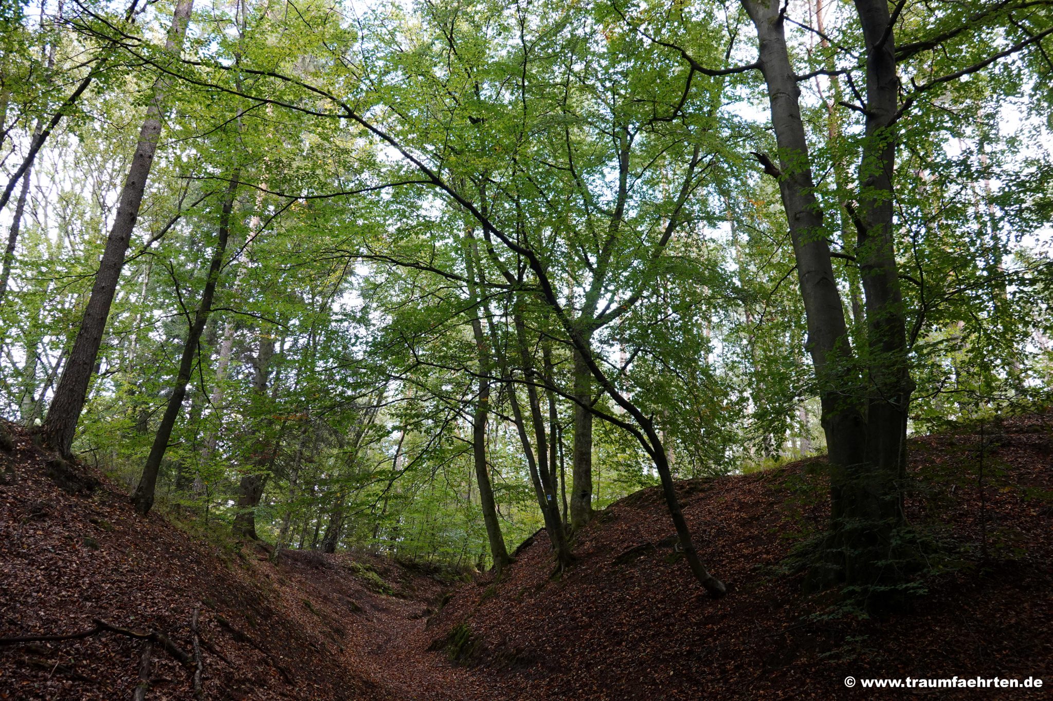 Wohnmobilstellplatz Augustdorf - Wild-malerische Sennelandschaft