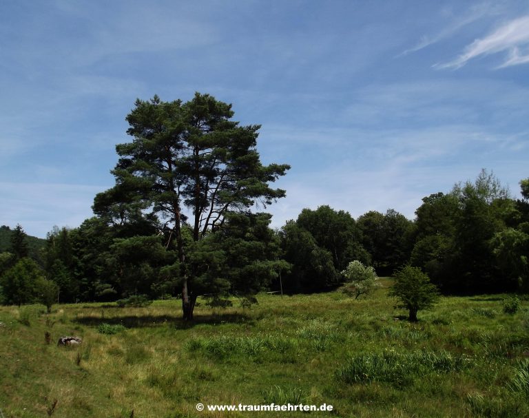 Camping Wingen-sur-Moder - Warum wir Campingplätze neu entdecken